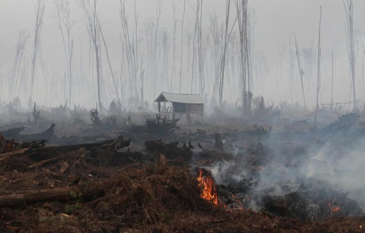 Diserbu via Darat dan Udara, Titik Api Mulai Padam | Dislhk Badung