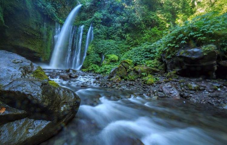 Generasi Milenial Bisa Lestarikan Air dengan Cara Ini | Dislhk Badung