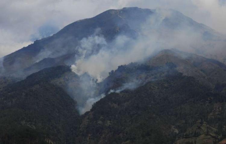 Kebaran Hutan di Gunung Sumbing Meluas | Dislhk Badung